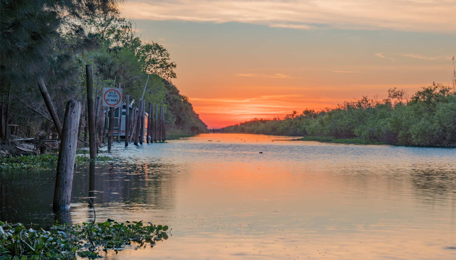 St. Johns River - St. Johns River Cruises