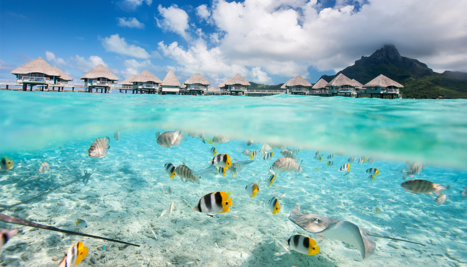 Tahiti & French Polynesia Cruises, Tahiti & French Polynesia Cruise ...